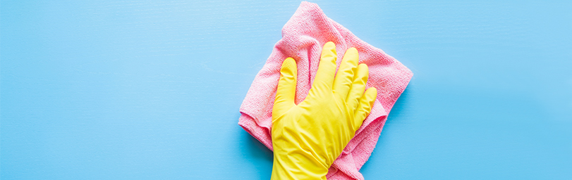 Apricot Database Audit: When is the Right Time to Clean Up?